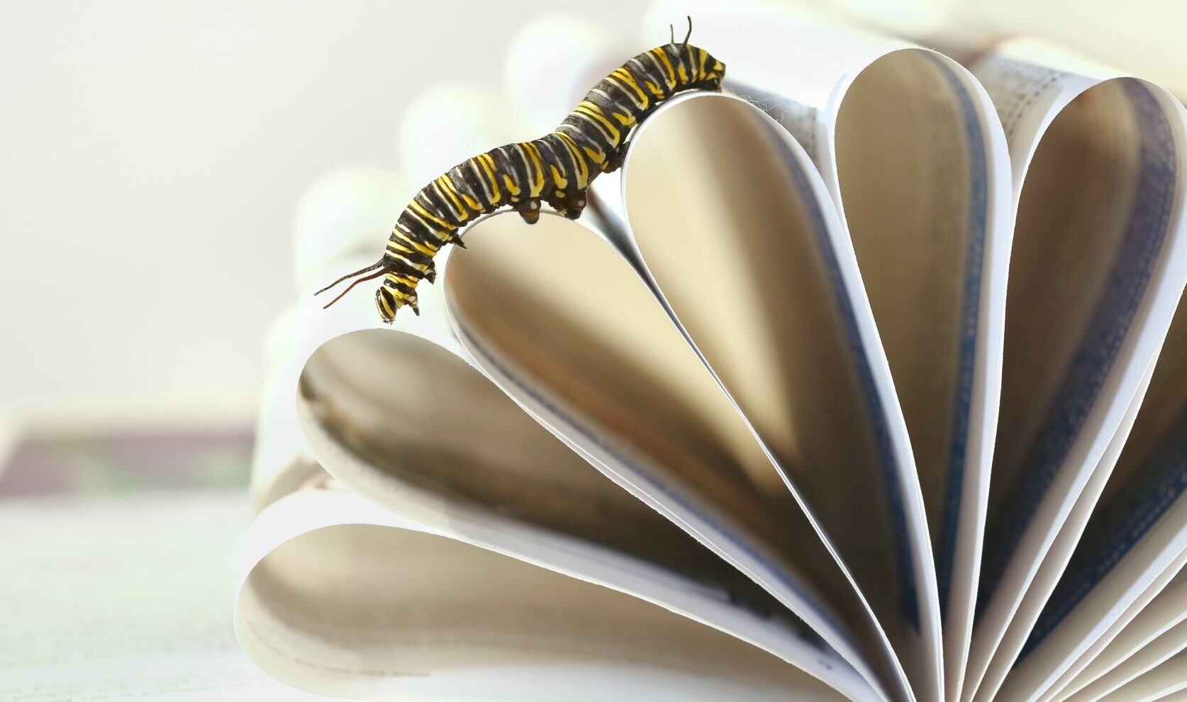 Chinese Writing: Repetition and Parallelism – i‑Learner Education Centre