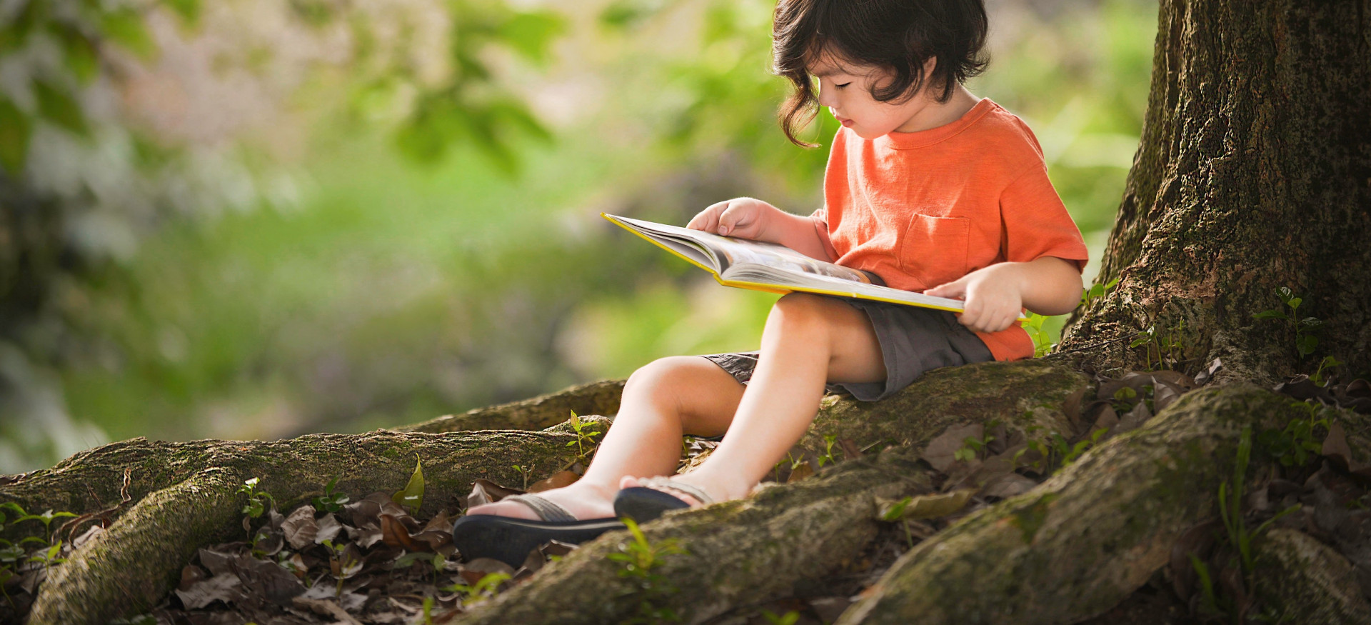 Reading Widely to Develop Critical Thinking – i‑Learner Education Centre